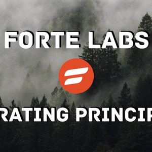 Forte Labs Operating Principles | article by Tiago Forte - Upcarta