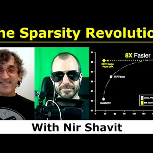 How to make your CPU as fast as a GPU - Advances in Sparsity w/ Nir Shavit | video by Yannic ...